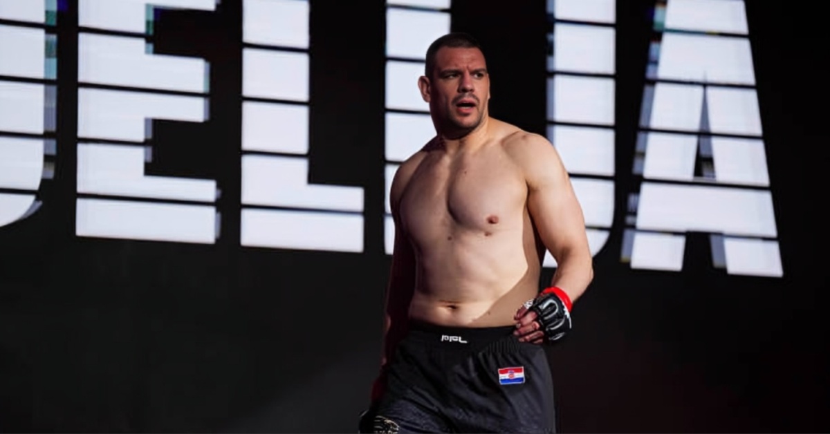 Report - Former PFL Heavyweight Champion Ante Delija signed by UFC